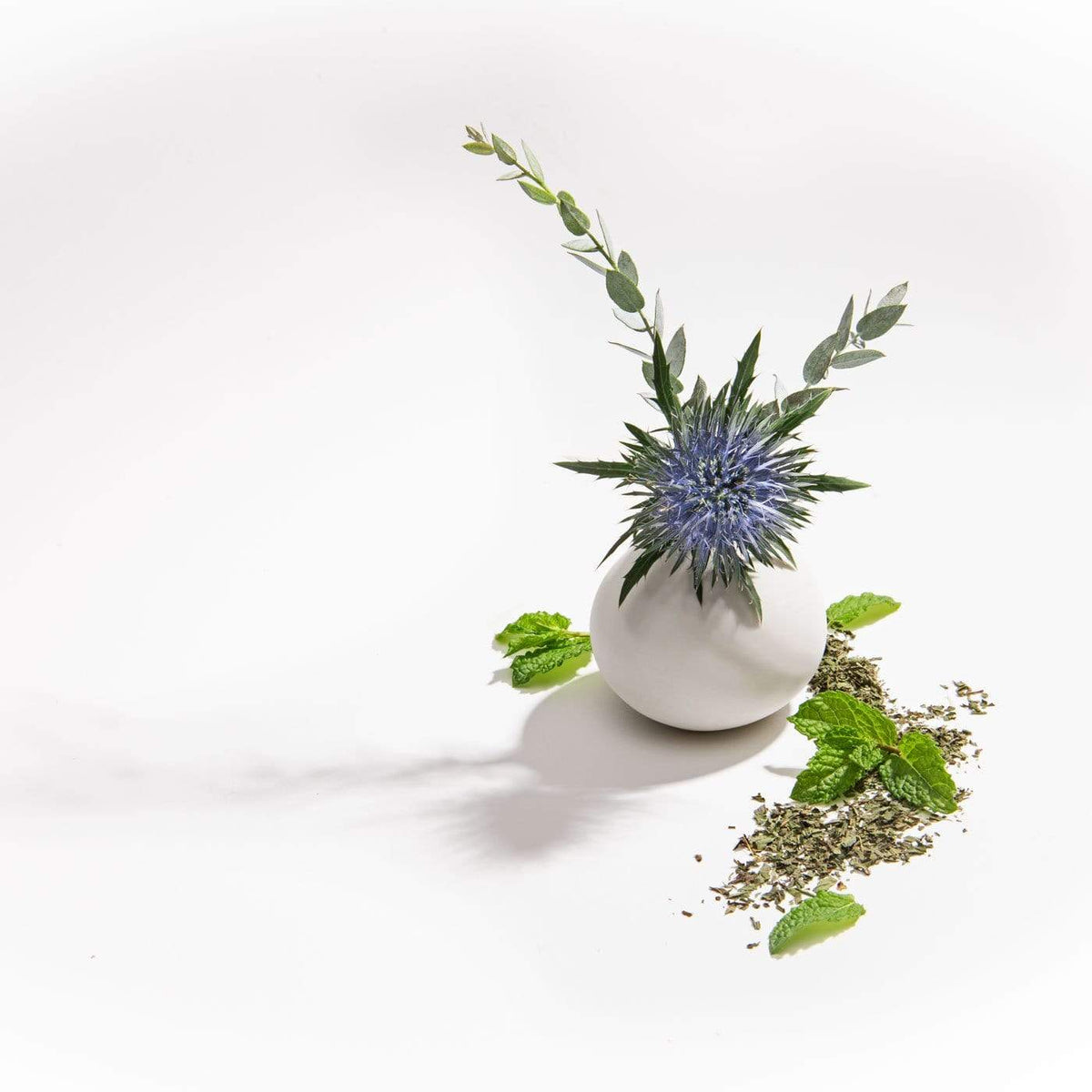 Hair Conditioner | KELSEN